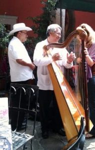 L'histoire de la harpe - Le livre et la harpe